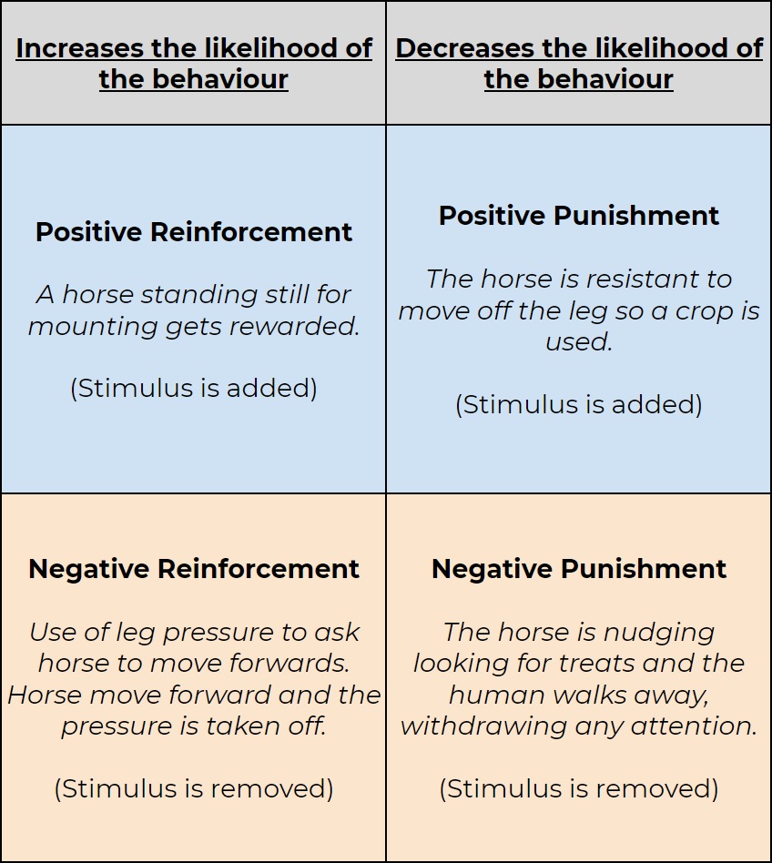Clicker Training Part 1: Positive Reinforcement – Megan Simpson Equestrian